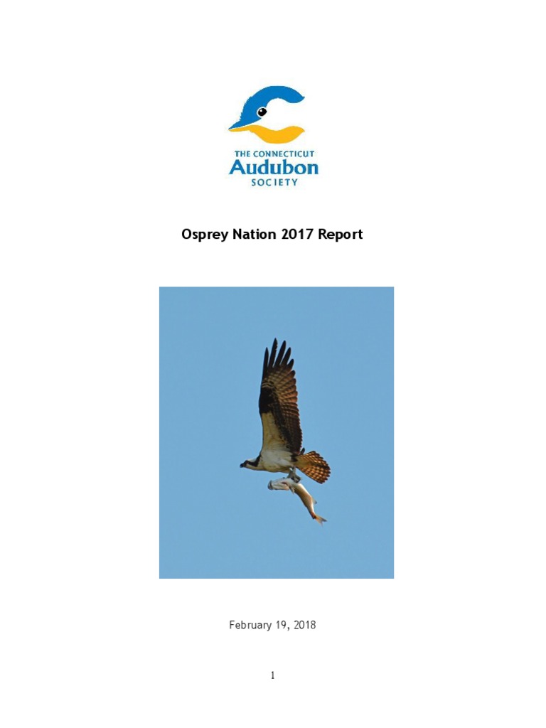 Osprey Nation 2017 Report 2.16 | PDF | Egg | Predation