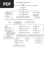 Pathway Cedera Kepala | PDF | Pengembangan Diri | Kesehatan Holistik