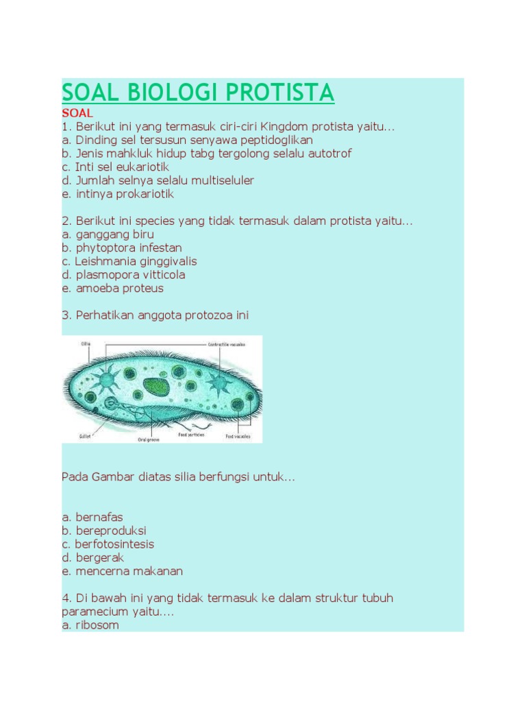 Soal Biologi Protista | PDF