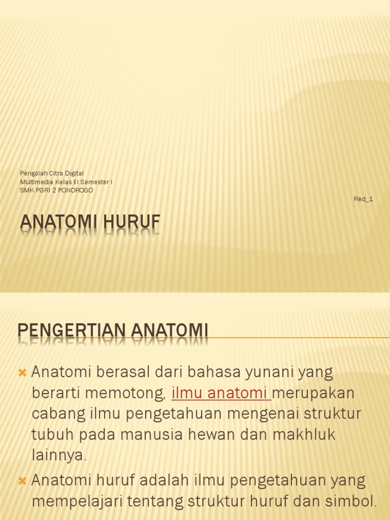 Anatomi Huruf | PDF