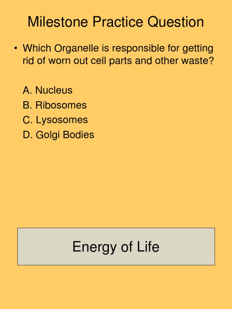 Energy of Life 2018 | Download Free PDF | Photosynthesis | Cellular ...