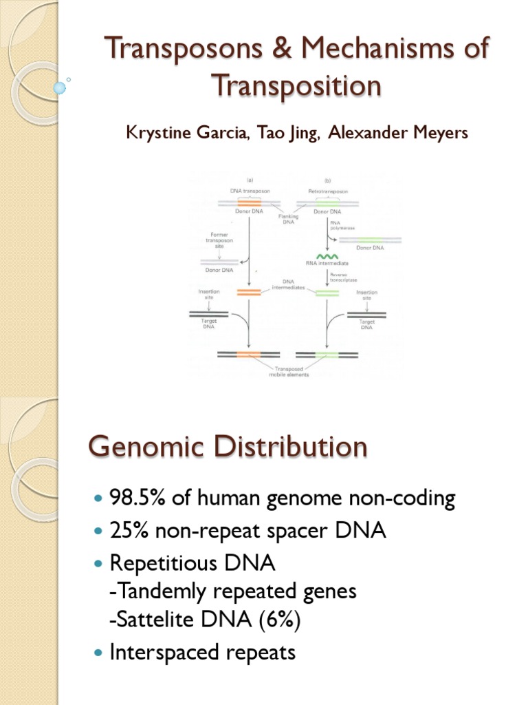 Transposons & Mechanisms of Transposition: Krystine Garcia, Tao Jing, Alexander Meyers | PDF ...