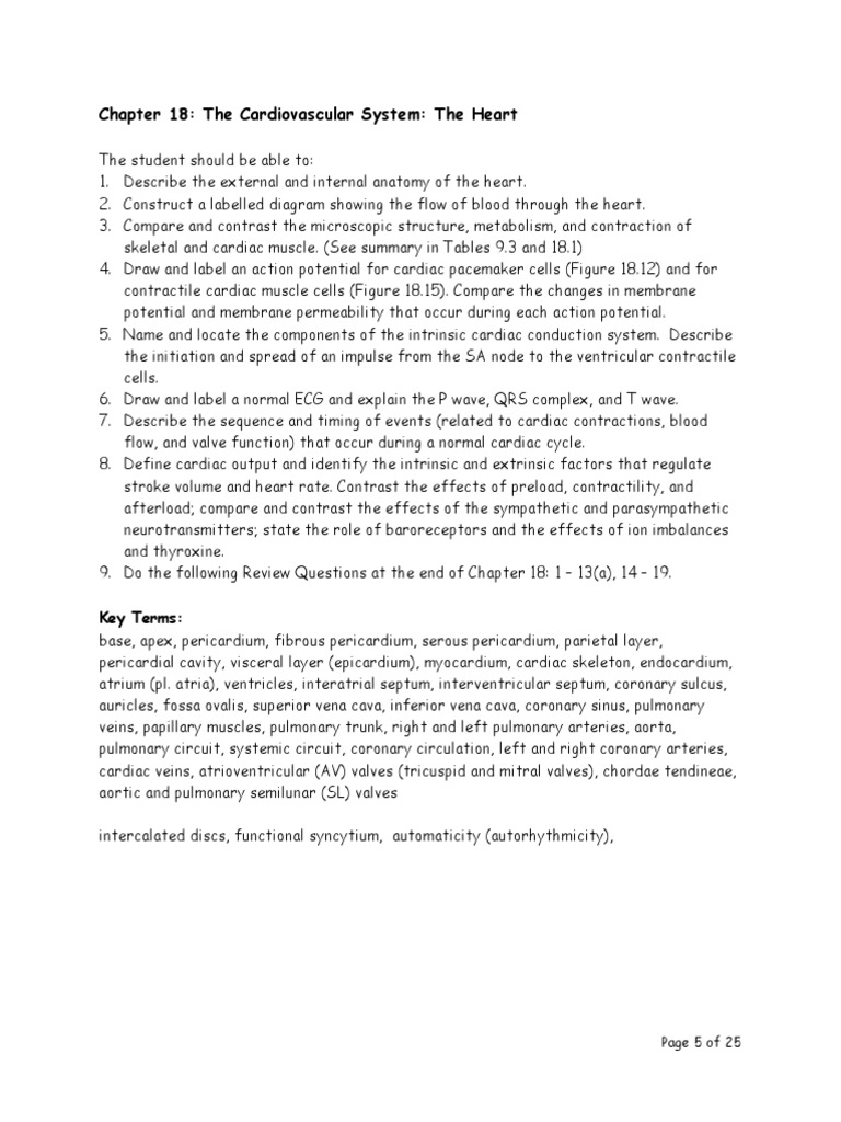 Chapter 18: The Cardiovascular System: The Heart: Key Terms | PDF