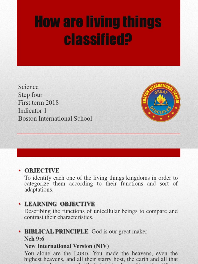 How Are Living Things Classified? | PDF | Cell (Biology) | Bacteria