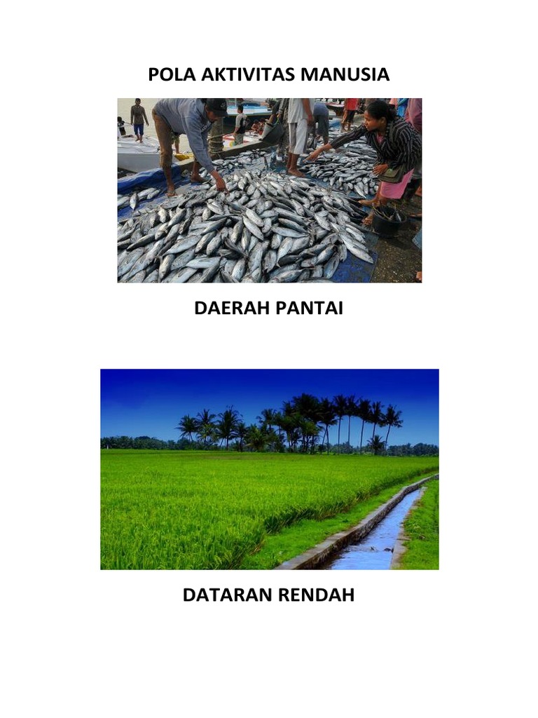 Pola Aktivitas Manusia | PDF