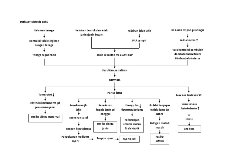 Pathway Distosia Bahu | PDF