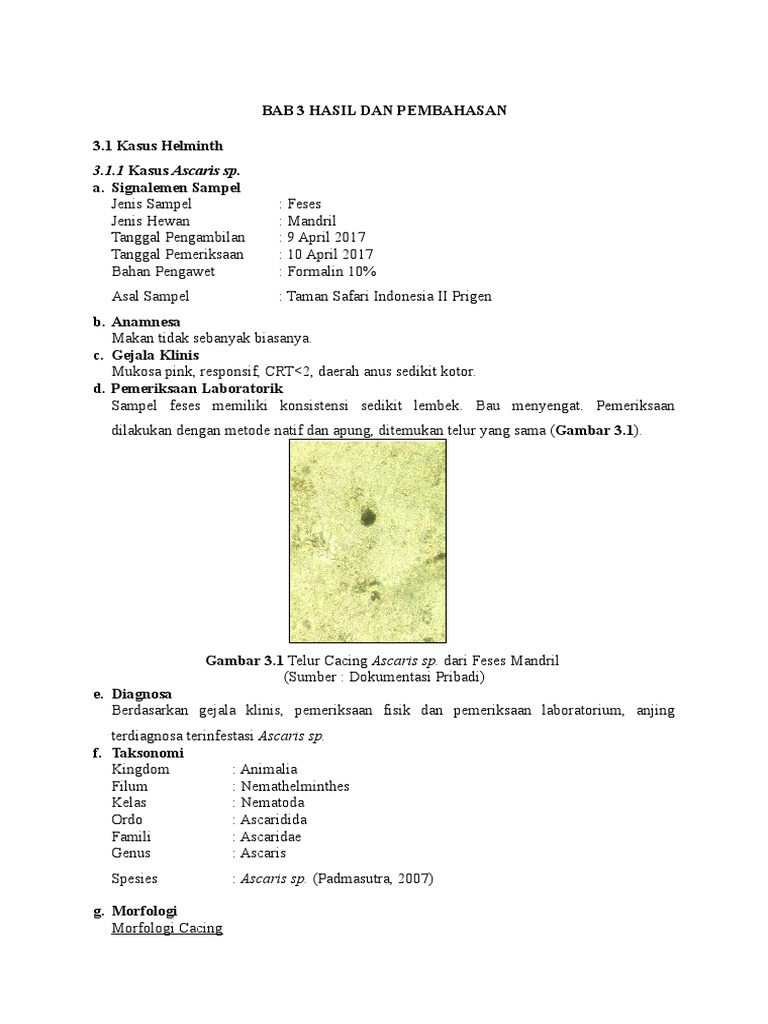 Laporan PPDH Parasitologi Veteriner | PDF