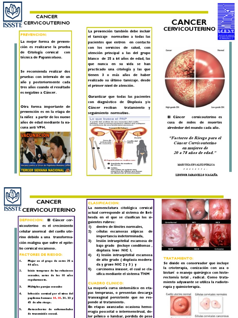 Triptico de CA Cu PDF | PDF | Cáncer de cuello uterino | Cáncer