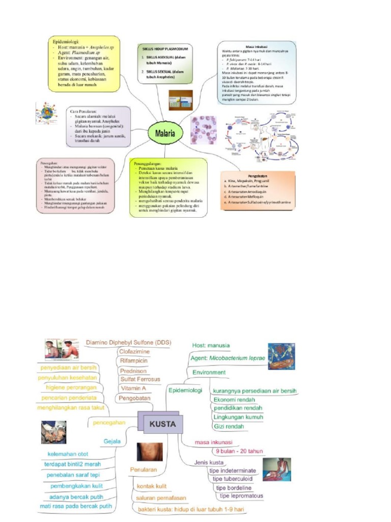 Mind Mapping (Contoh) | PDF | Self-Improvement | Lifestyle
