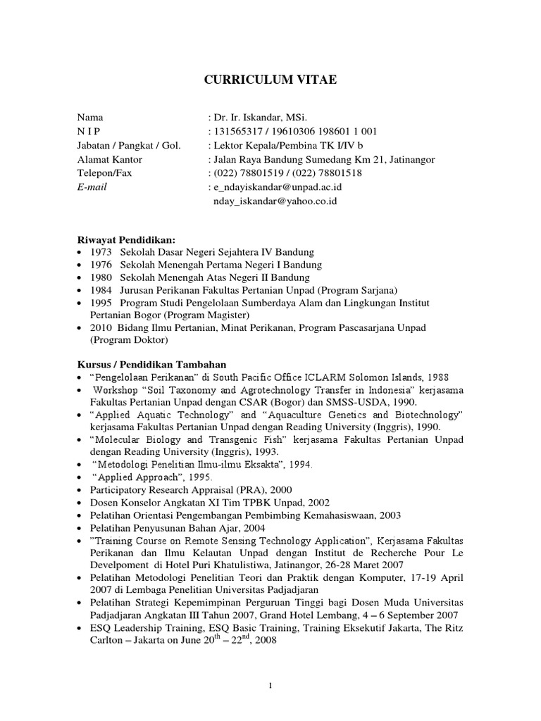 CV Dekan Fpik2 | PDF