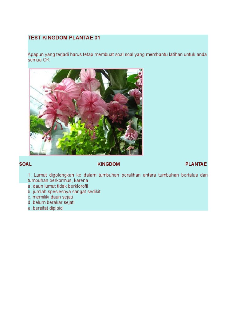 Test Kingdom Plantae 01 | PDF