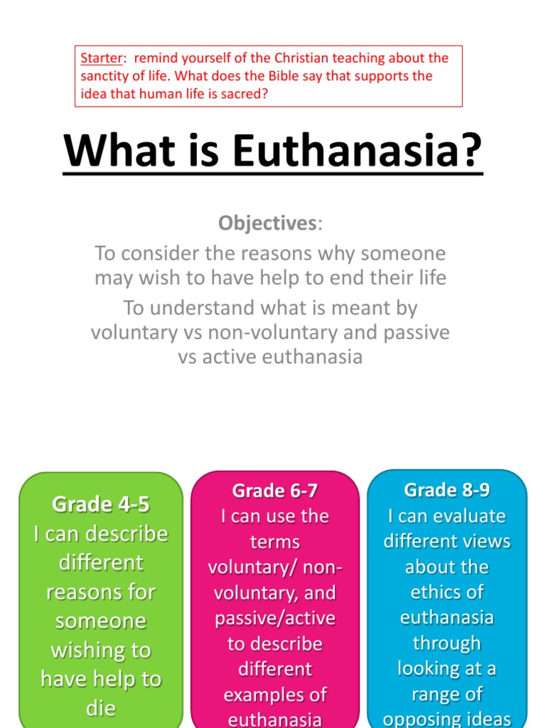 What Is Euthanasia? | PDF | Professional Ethics | Applied Ethics