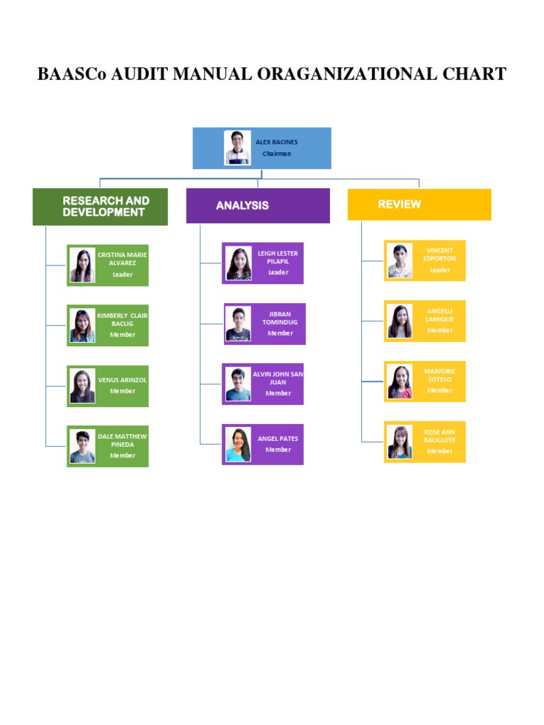 BAASCo Audit Organizational Chart | PDF