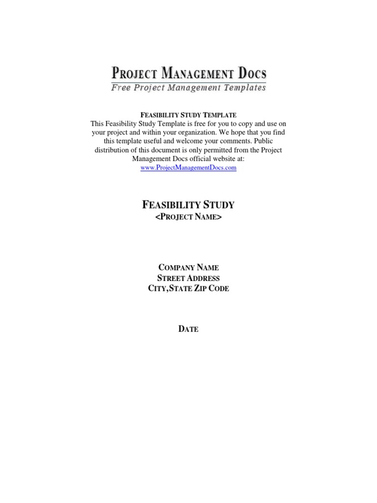Feasibility Study | PDF