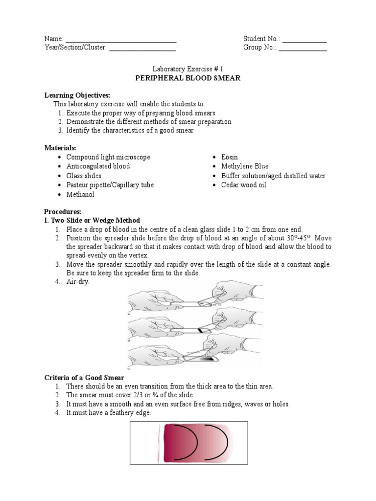Lab Activity #1 | PDF | Staining | Histology