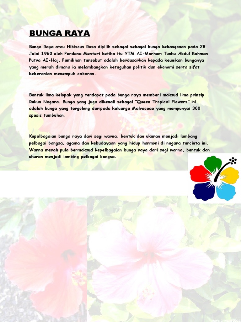 Bunga Raya | PDF