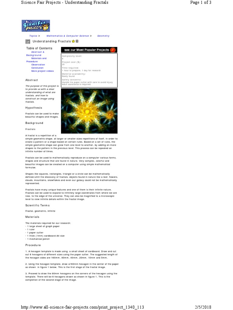 Understanding Fractals | Download Free PDF | Fractal | Shape