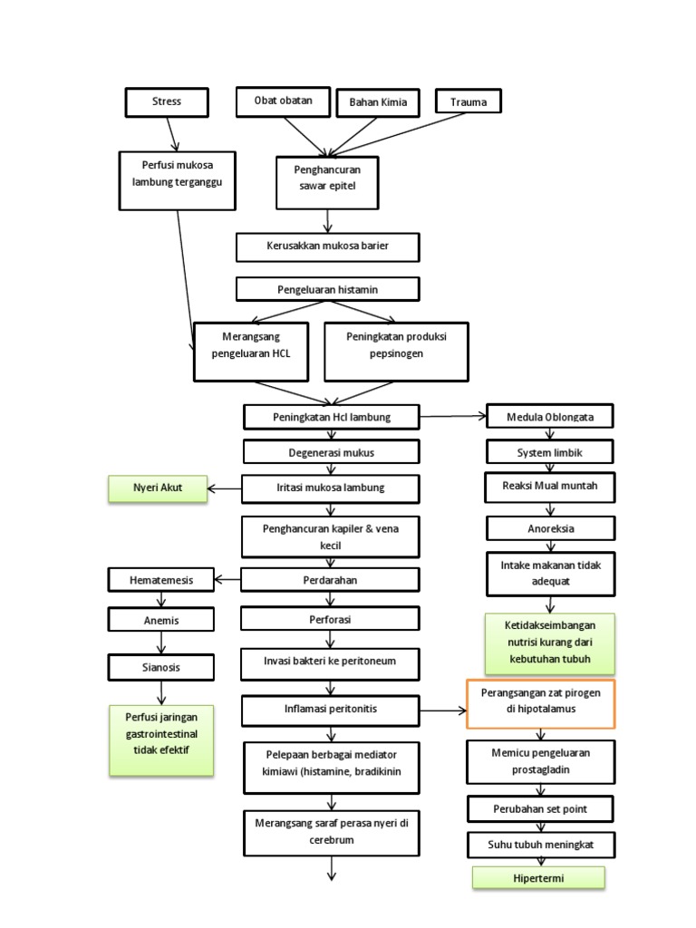 Pathway Perforasi Gaster | PDF