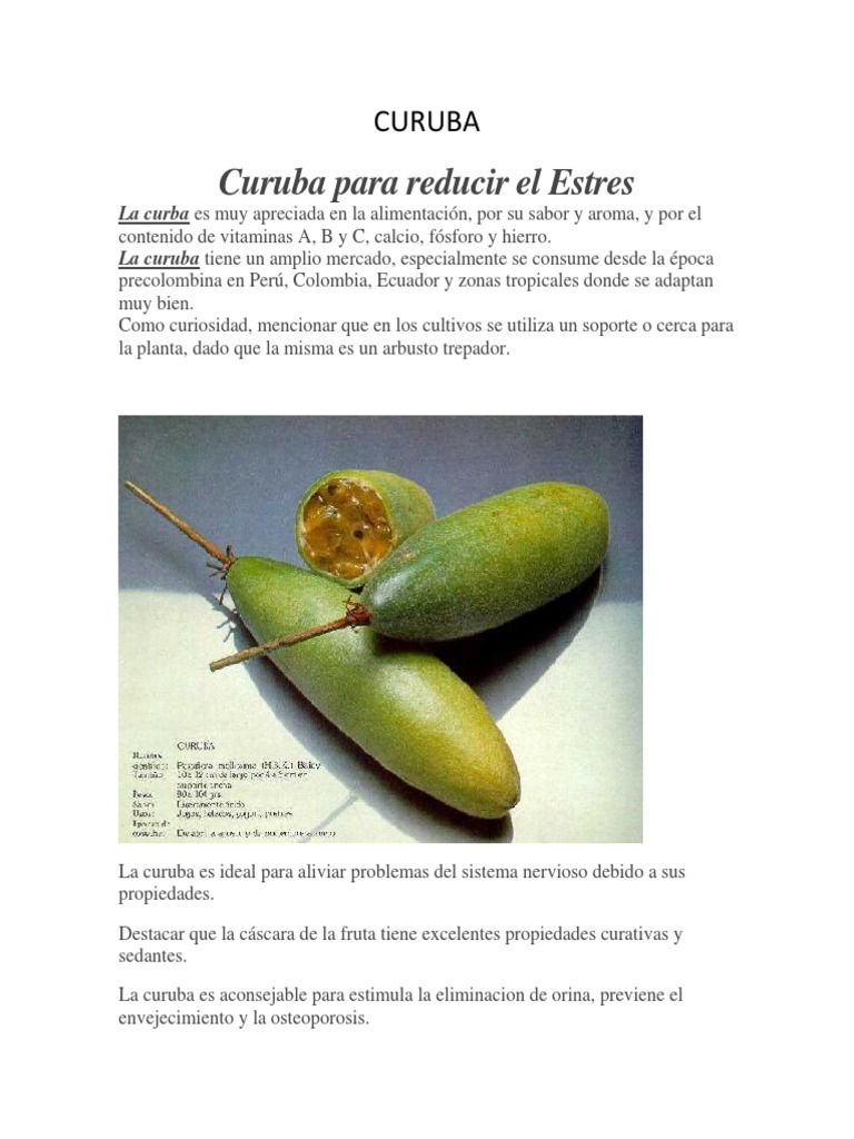 CURUBA | PDF | Plantas | Alimentos