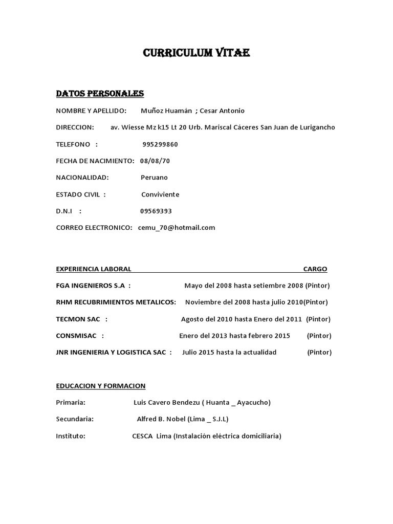 Cv. Cesar Muñoz | PDF | Perú | Business