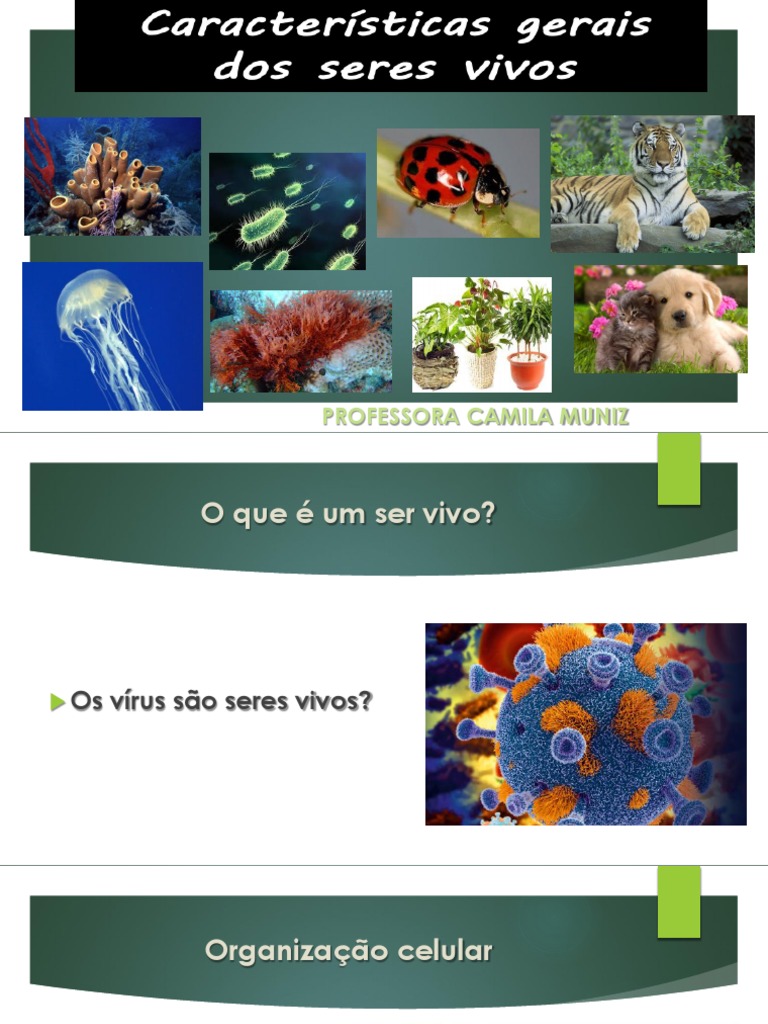 Características Dos Seres Vivos - 7º Ano