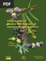 BC Tree Book | PDF | Pine | Trees