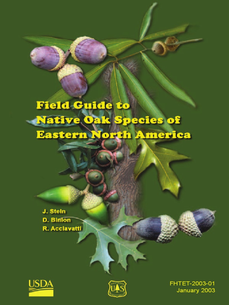 Field Guide | PDF | Oak | Leaf