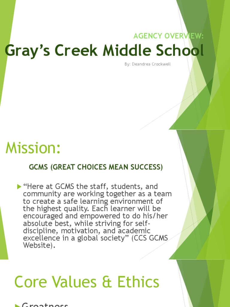 Agency Overview | PDF