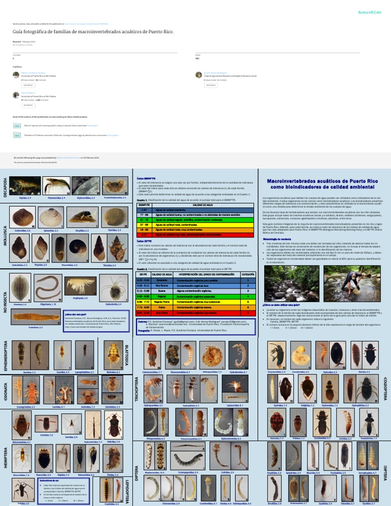 Guia Fotograf. Macroinvert. Puerto Rico | PDF | Organismos | Naturaleza