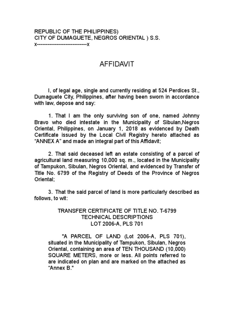 Affidavit of Adjudication by Sole Heir Lot Sample | PDF | Affidavit | Judiciaries