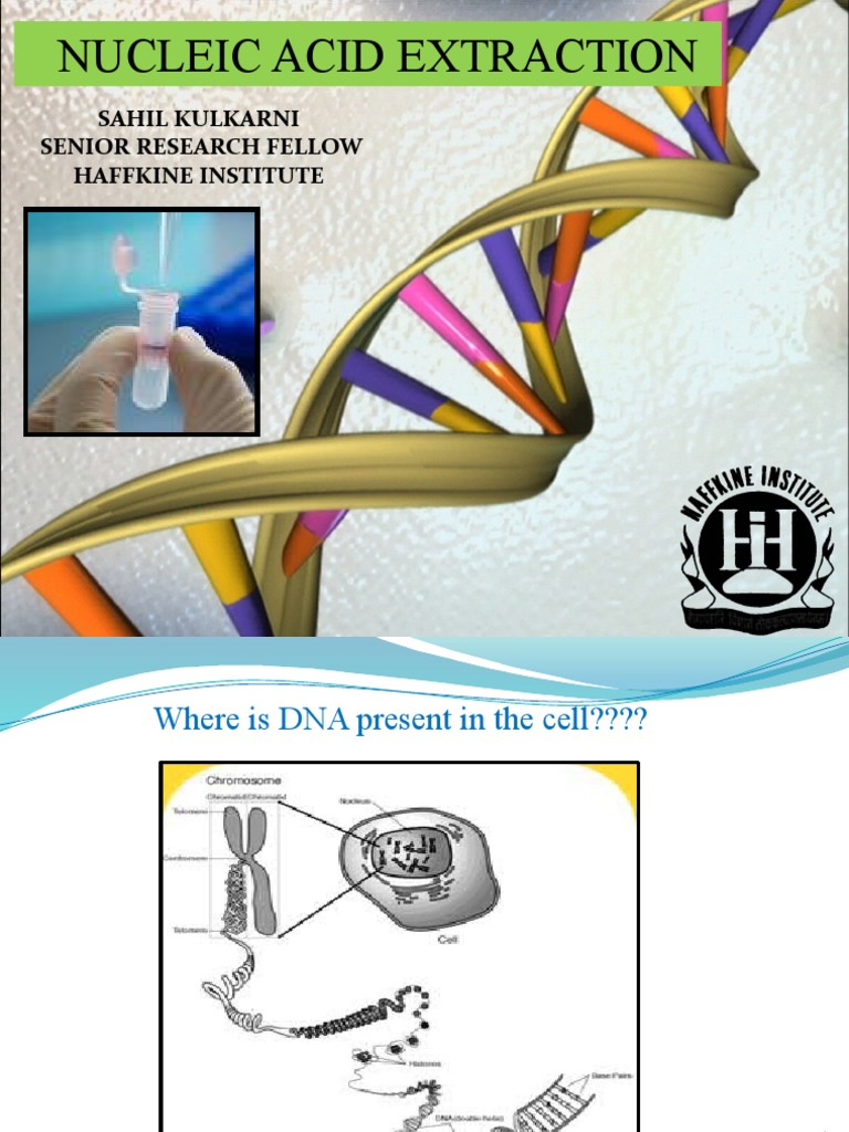 Nucleic Acid Extraction Methods Overview | PDF | Phase (Matter ...