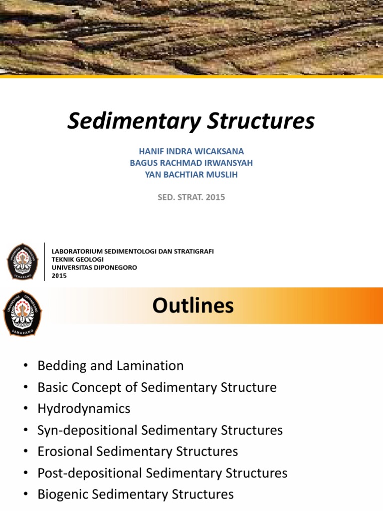 Sedimentary Structures | PDF | Sedimentary Rock | Sediment