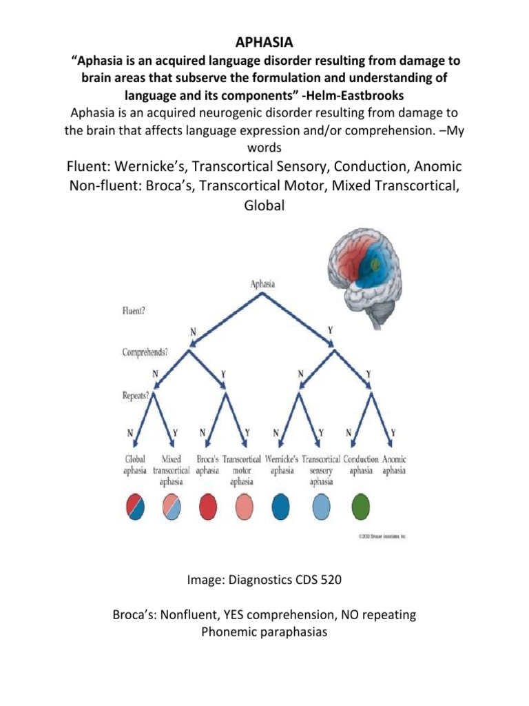 Aphasia Visuals:Info | PDF | Aphasia | Speech