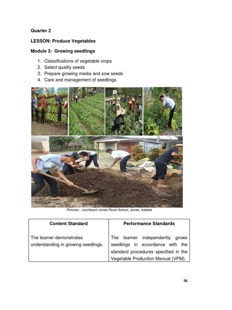 Module 3. Grow Seedlings | PDF | Seed | Germination