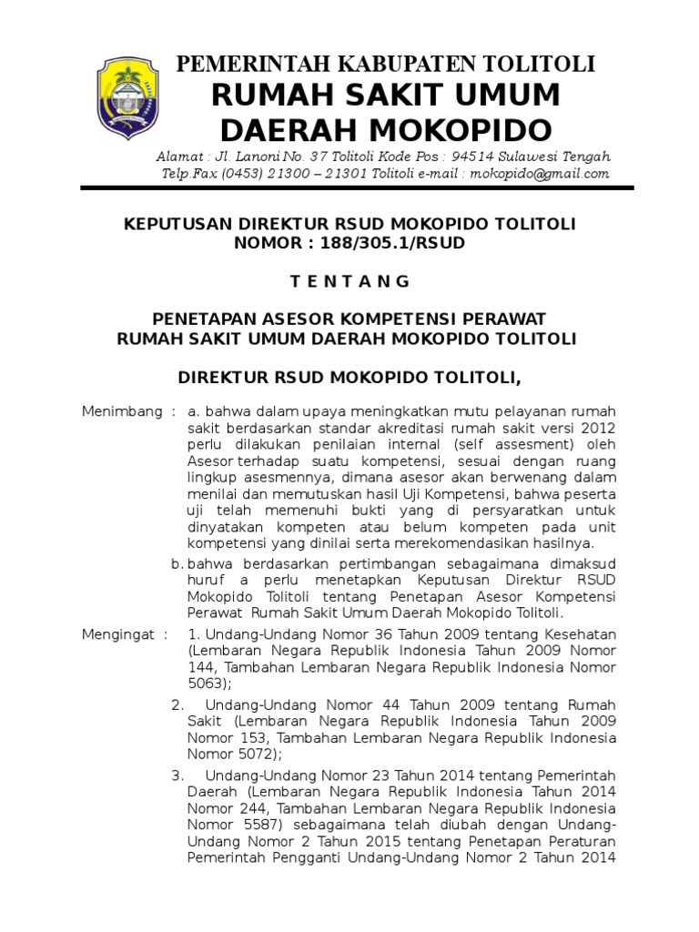 SK Asesor Internal | PDF