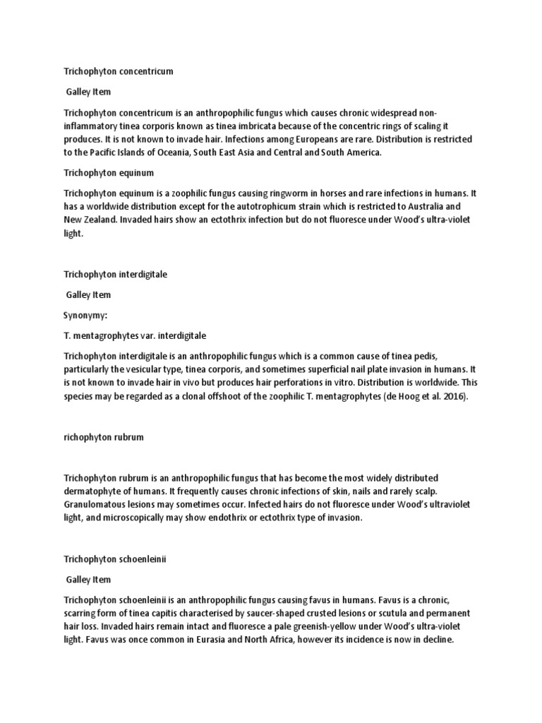 Trichophyton Concentricum | PDF