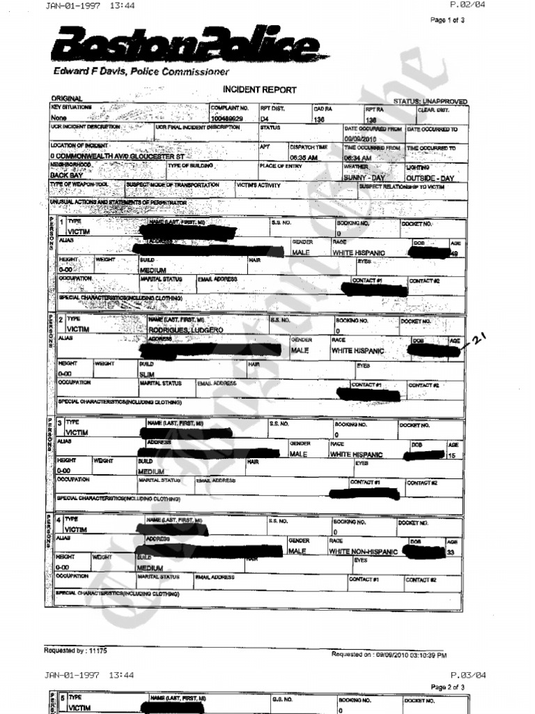Police Report | PDF