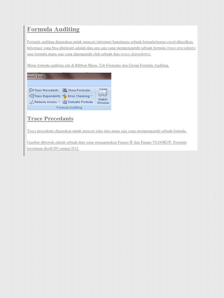 Formula Auditing | PDF