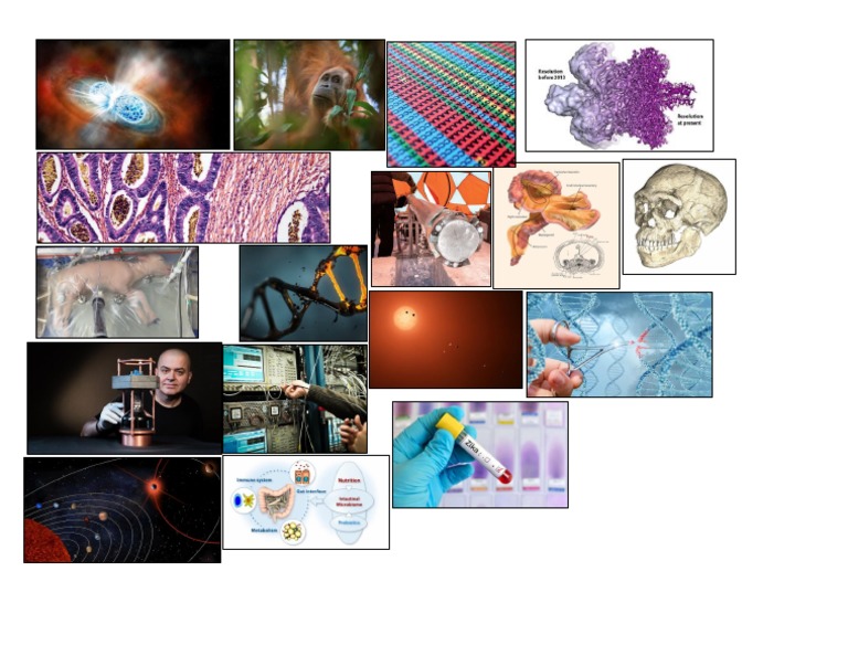 Collage de Biología | PDF