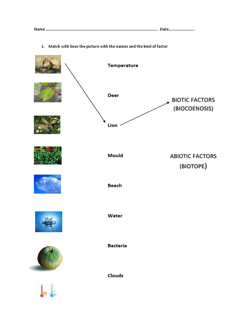 Worksheets Block 1 | PDF | Organisms | Environmental Science