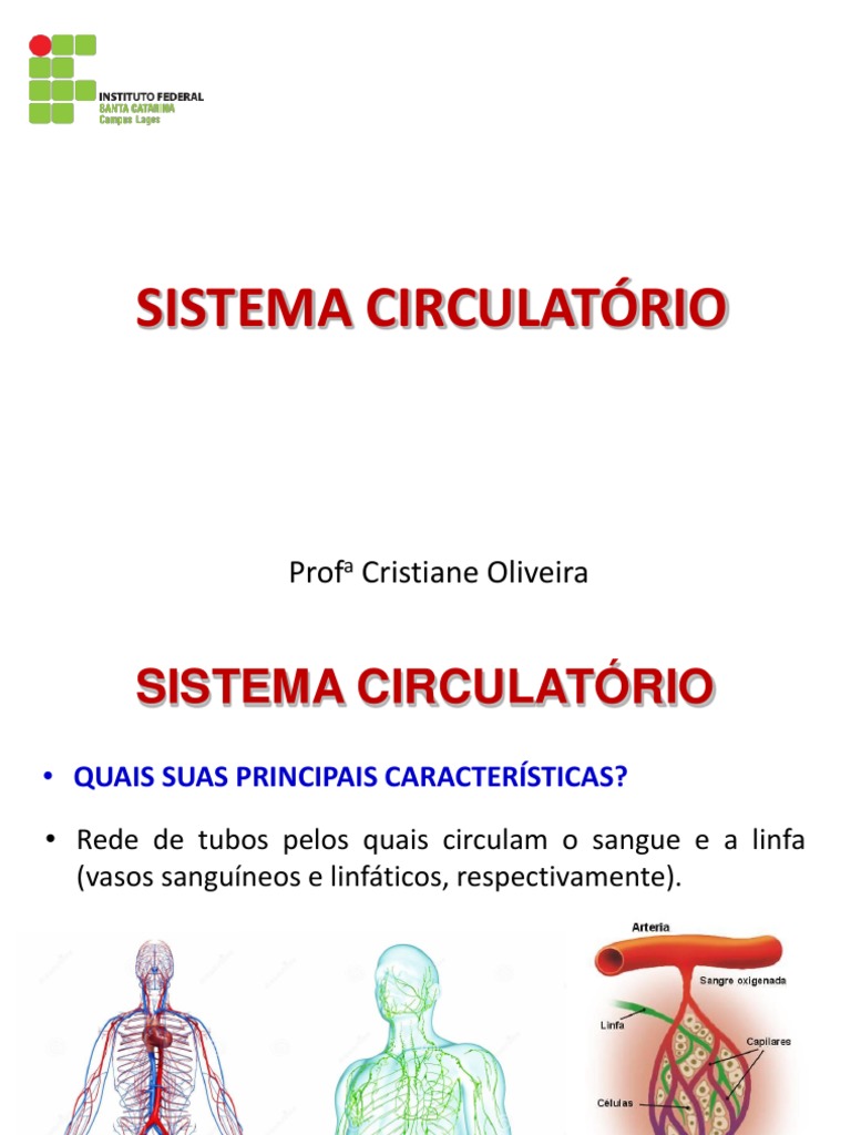 Sistema Circulatório | PDF | Sistema circulatório | Sistema linfático