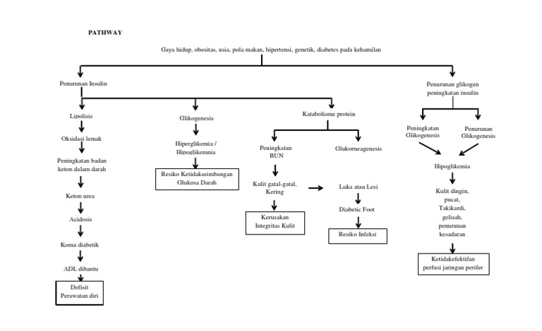 Pathway Diabetes Melitus dan WOC | PDF