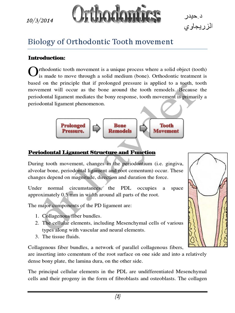Orthodontics!! | PDF | Wellness | Medical