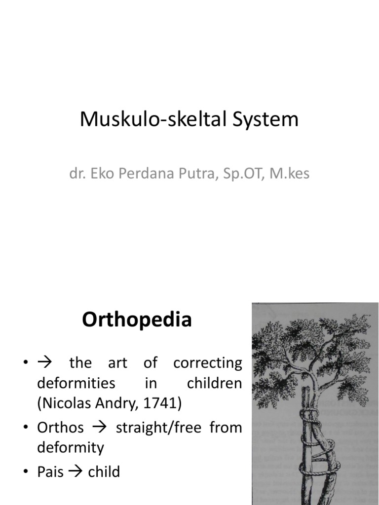 Kuliah Muskulo I | PDF | Human Musculoskeletal System | Orthopedic Surgery