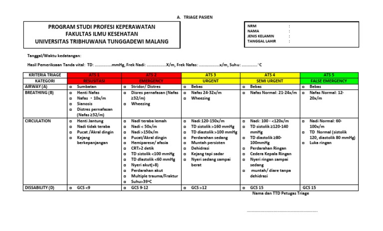 Panduan Kriteria Triase ATS IGD | PDF