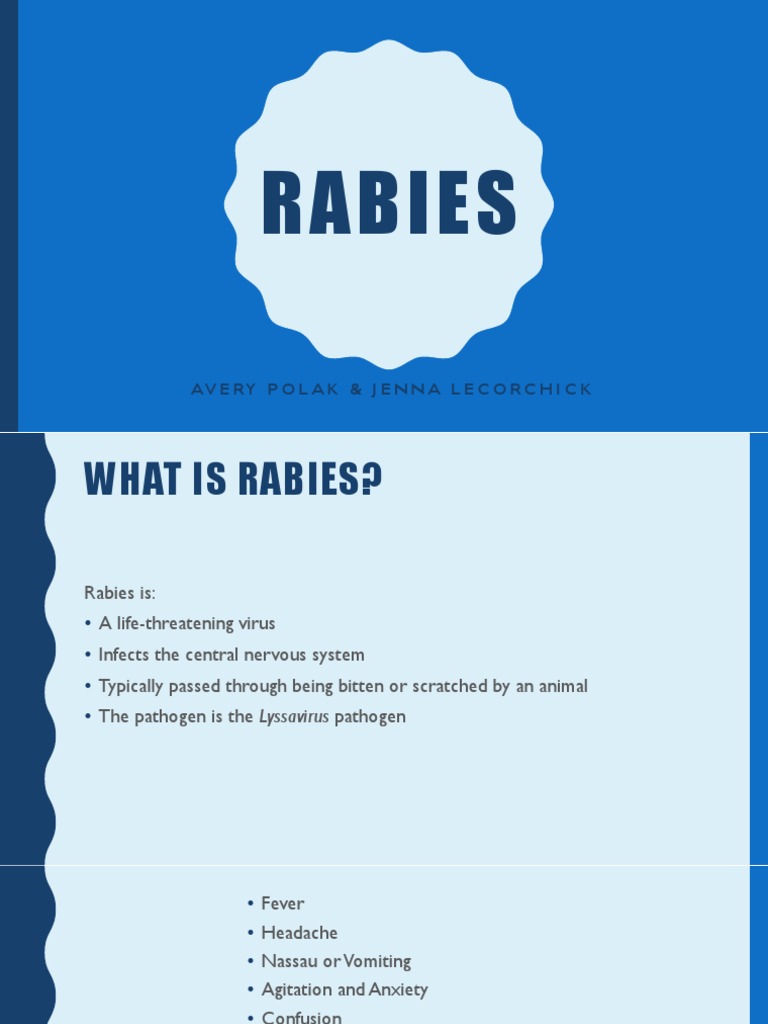 Rabies | PDF | Rabies | Virology