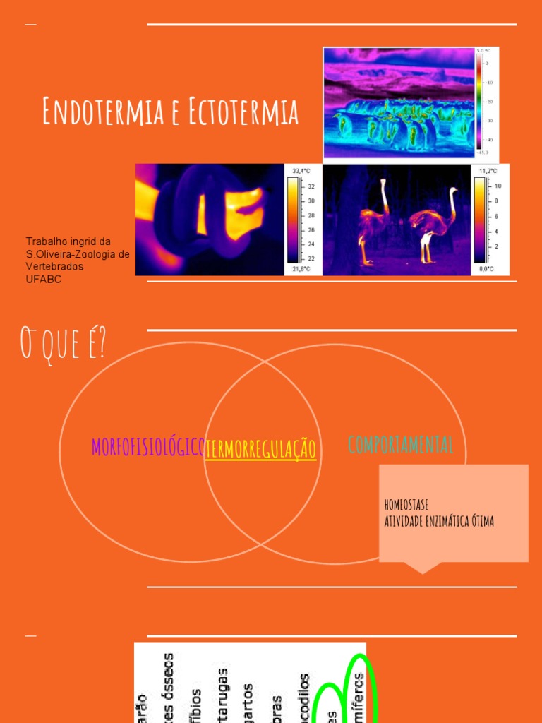 Apresentação - Endotermia e Ectotermia | PDF | Calor | Deserto