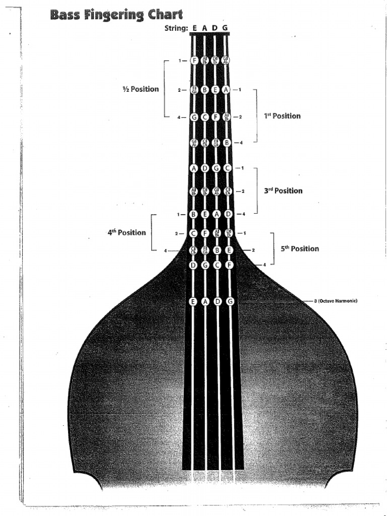 Bass Fingering Chart | PDF