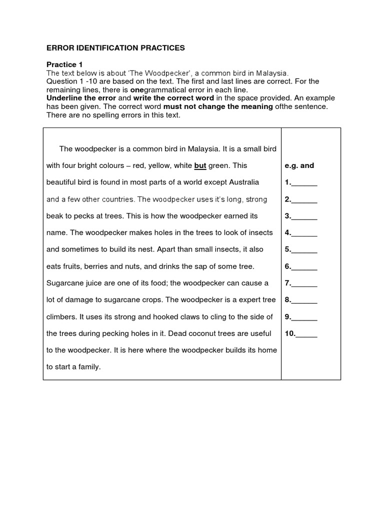 Error Identification Practices | Download Free PDF | Physical Fitness ...