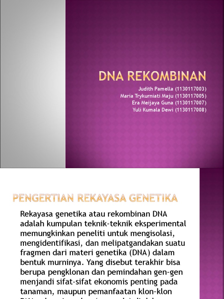 Dna Rekombinan | PDF